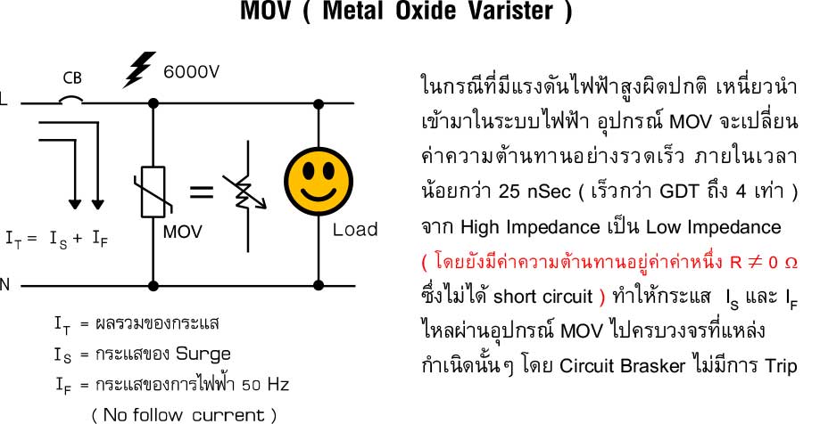 Surge Protector SPD ป้องกันไฟกระชาก ป้องกันฟ้าผ่า หัวล่อฟ้า